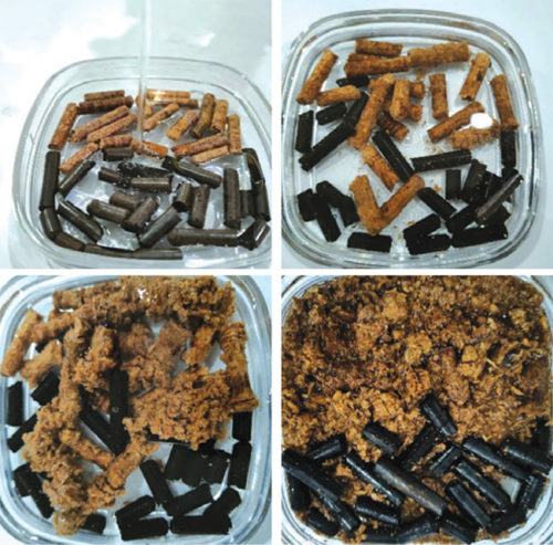 Black Pellets โอกาสทองของไทย
