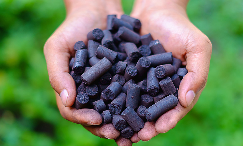 Black Pellets โอกาสทองของไทย